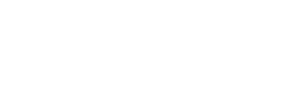 Dynamic Planning + Science – Planning for Safe and Orderly Cities.